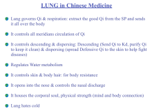 The Functions of the Zang Organs in TCM