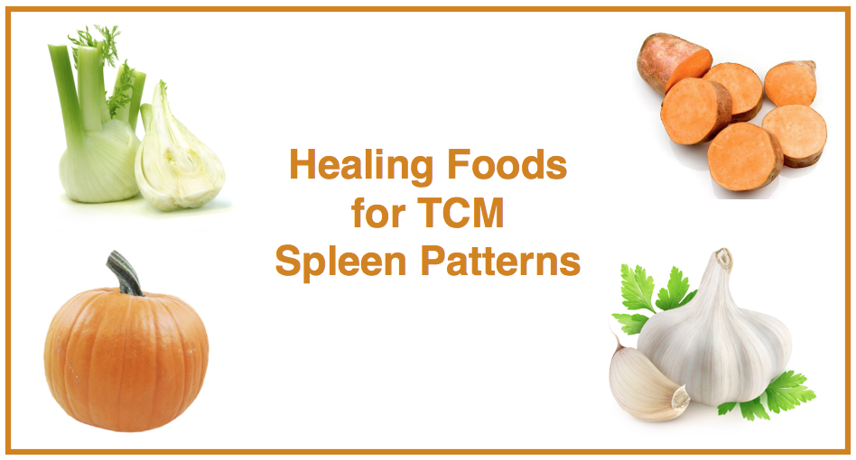 Healing Foods for TCM Spleen Patterns
