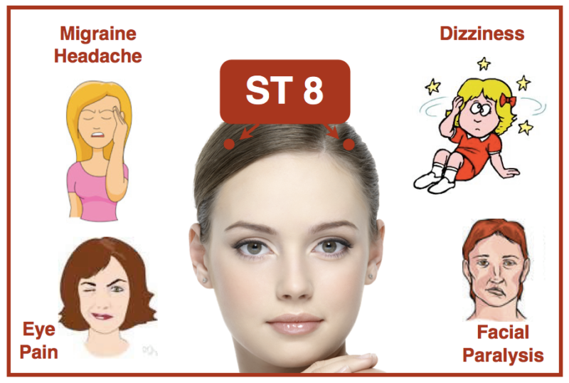 All About the TCM Stomach