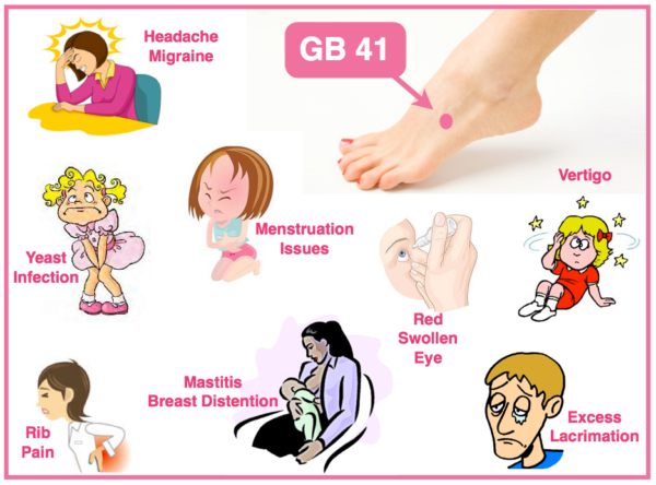 All About the TCM Gallbladder