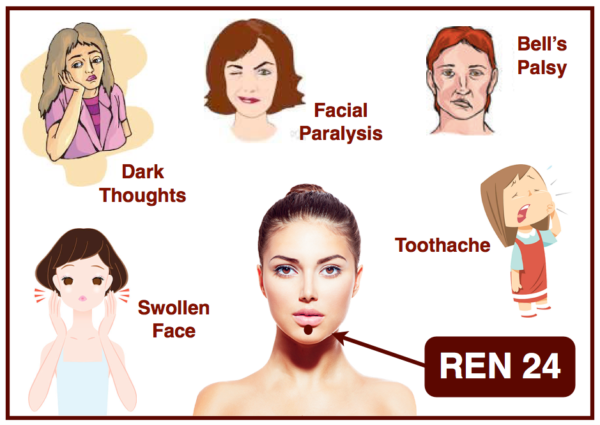 The 8 Extraordinary Vessels - REN