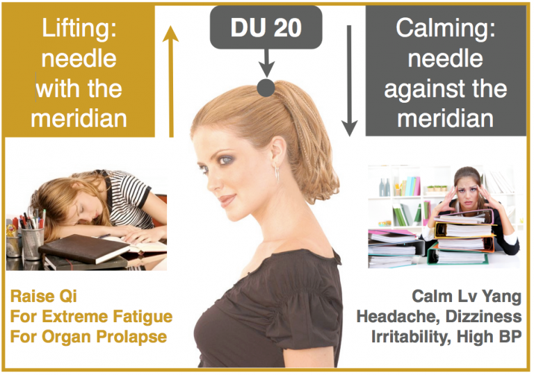 The 8 Extraordinary Vessels - DU