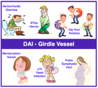 The 8 Extraordinary Vessels - DAI