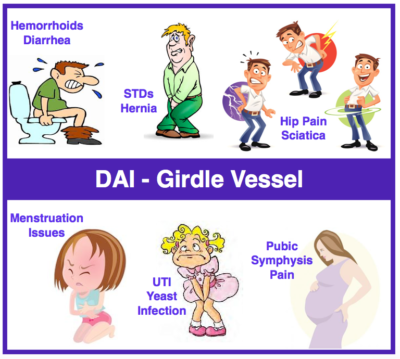 The 8 Extraordinary Vessels - DAI
