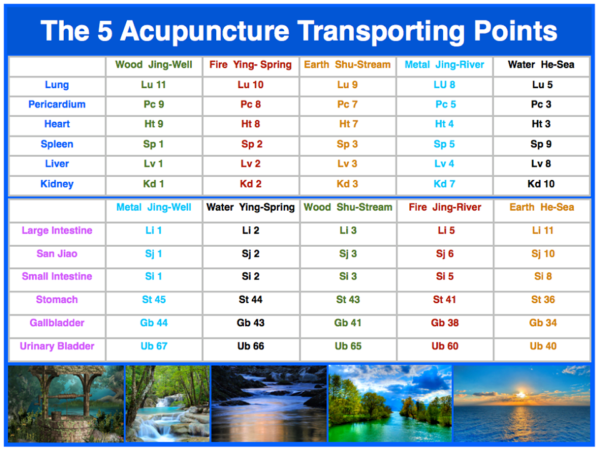 The Most Used Acupuncture Points in Clinical Practice!