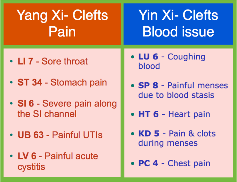 The Most Used Acupuncture Points in Clinical Practice!
