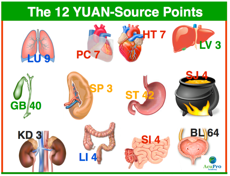 The Most Used Acupuncture Points in Clinical Practice!