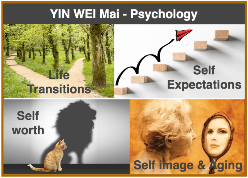 The 8 Extraordinary Vessels - Yin Wei & Yang Wei