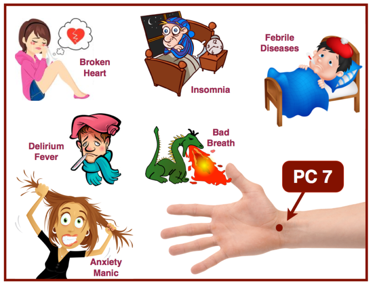 All About the TCM Pericardium