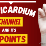 The Pericardium Channel and it's 9 Acupuncture Points