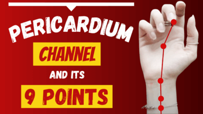 The Pericardium Channel and it's 9 Acupuncture Points