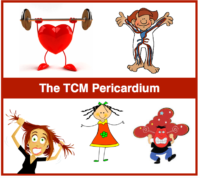 All About the TCM Pericardium