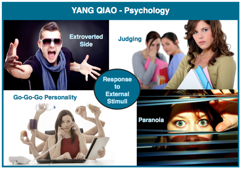 The 8 Extraordinary Vessels - Yin Qiao & Yang Qiao