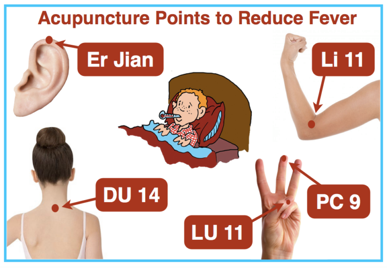 All About the TCM Pericardium