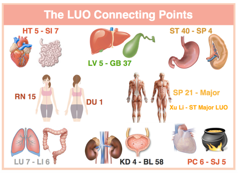 LUO Connecting Acupuncture points