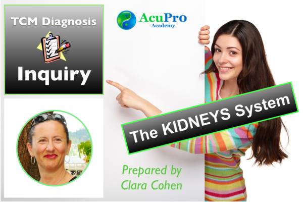 TCM Diagnosis - Inquiry (Kidneys System)