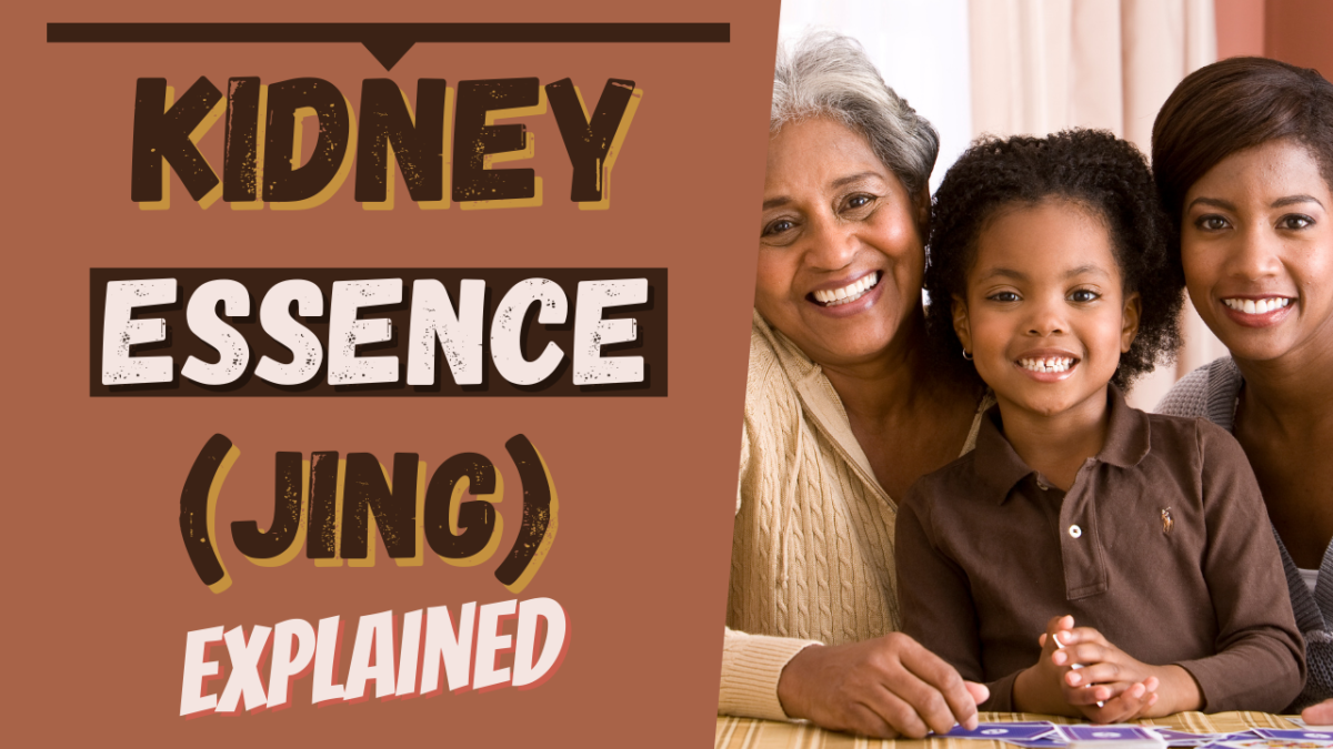 Acupuncture & TCM Archives - AcuPro Academy | Acupuncture Online Courses