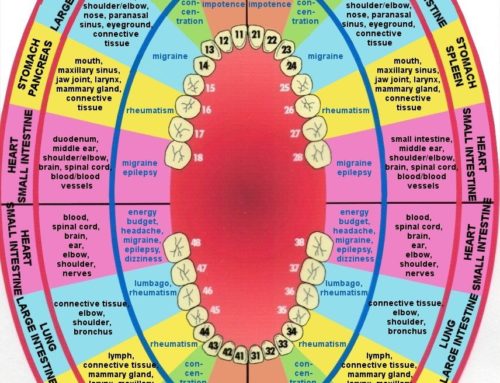 Prostate Issues in Chinese Medicine - AcuPro Academy | Acupuncture ...