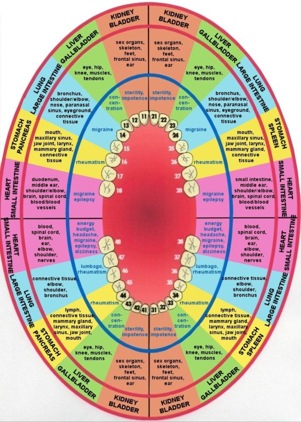 Acupuncture & TCM Archives - AcuPro Academy | Acupuncture Online Courses