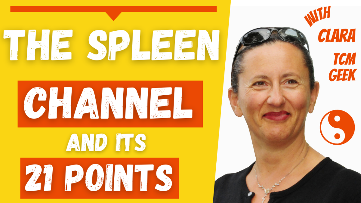 The Spleen Channel and its 21 Acupuncture Points