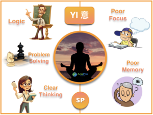 The Five Spirits in Chinese Medicine