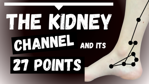 The Kidney Channel 27 Acupuncture Points