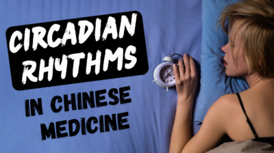 Circadian Rhythms in Chinese Medicine Podcast