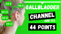 The Gallbladder Channel and its 44 Acupuncture Points