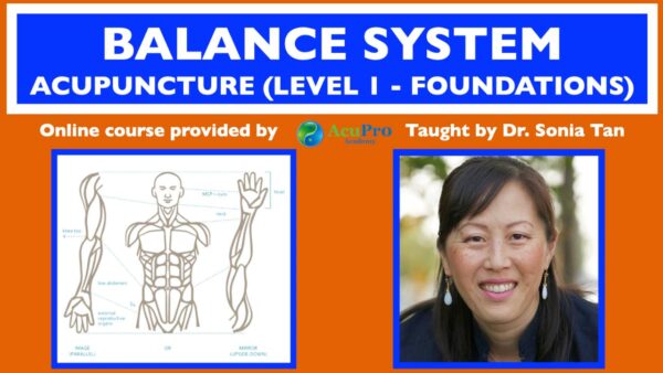 Balance System Acupuncture Foundations: Level 1 (Single Systems) Online ...