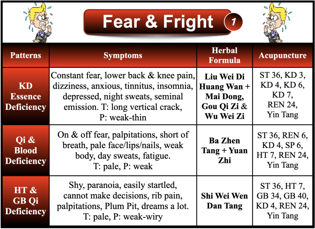 The BEST Acupuncture Points for Fear, Phobia, Anxiety and Shock