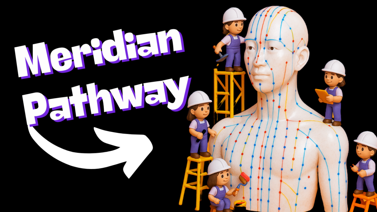 Acupuncture Meridians Pathways of all 12 Main Channels - AcuPro Academy ...