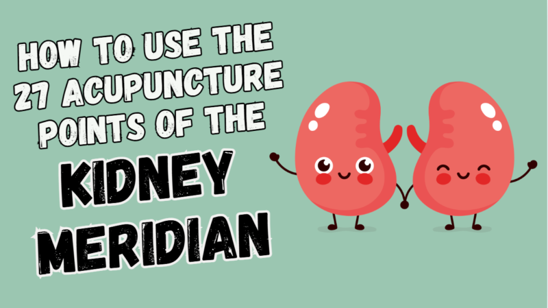 How to Use the 27 Acupuncture Points of the Kidney Meridian